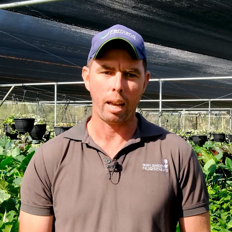 Customer Feedback: Tom Hennessey - Fernland