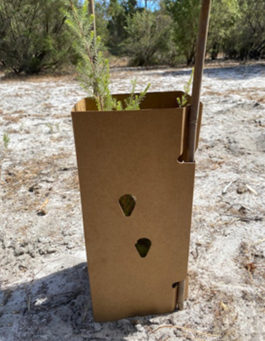 Greenguard MID Square Enviro Tree Guard | Fernland