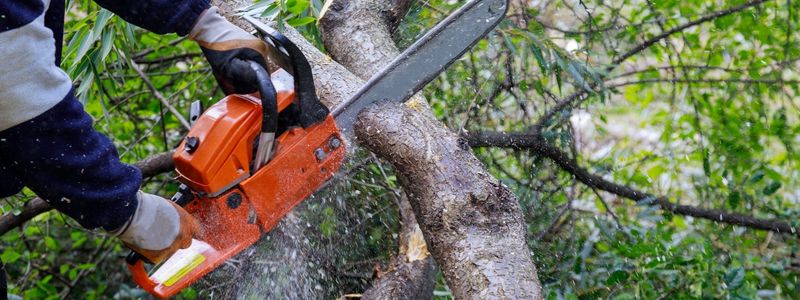 How Often Should You Replace a Stens Chainsaw Chain? (Signs ...