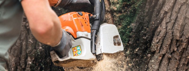 How to Maintain a TriLink Chainsaw Bar for Longer Life (TriLink Bar ...