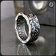 Austria Vienna Zoo Coin Ring