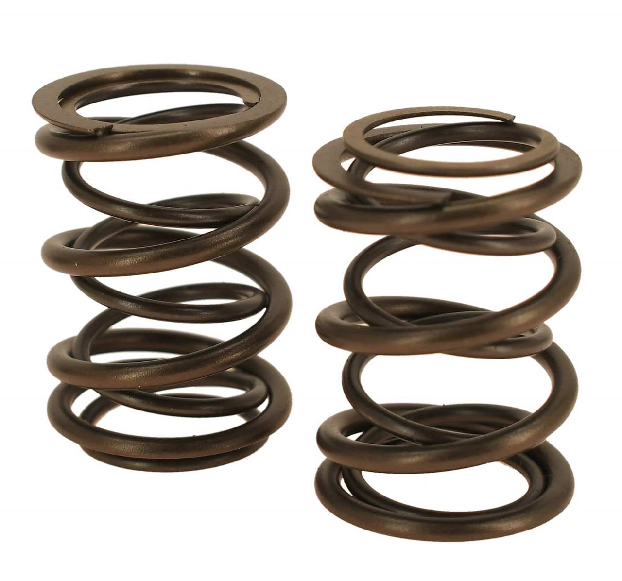 40lb Dual Valve Springs - GoPowerSports.com