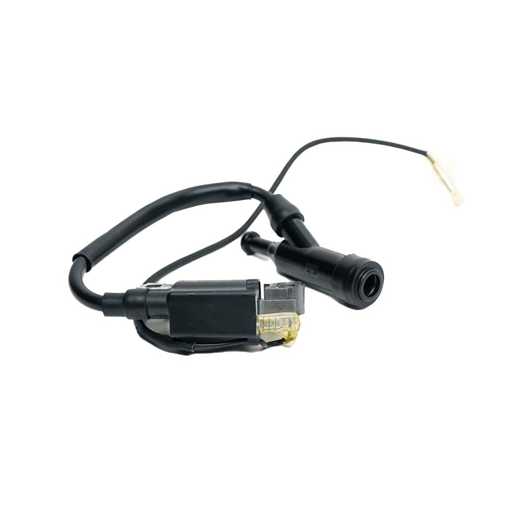 Ignition Coil DY100 (IC-4) - GoPowerSports.com