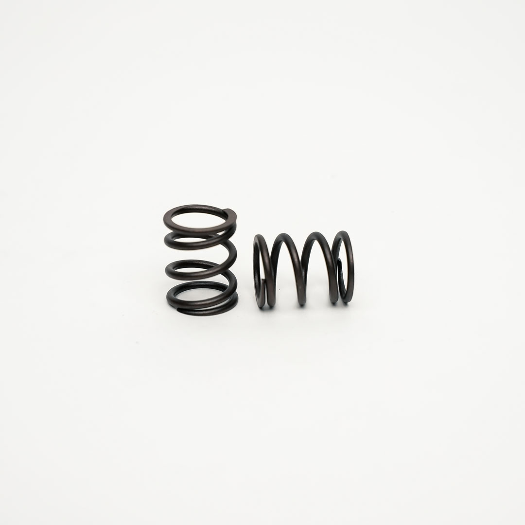 Engine - Valve Springs - GoPowerSports.com