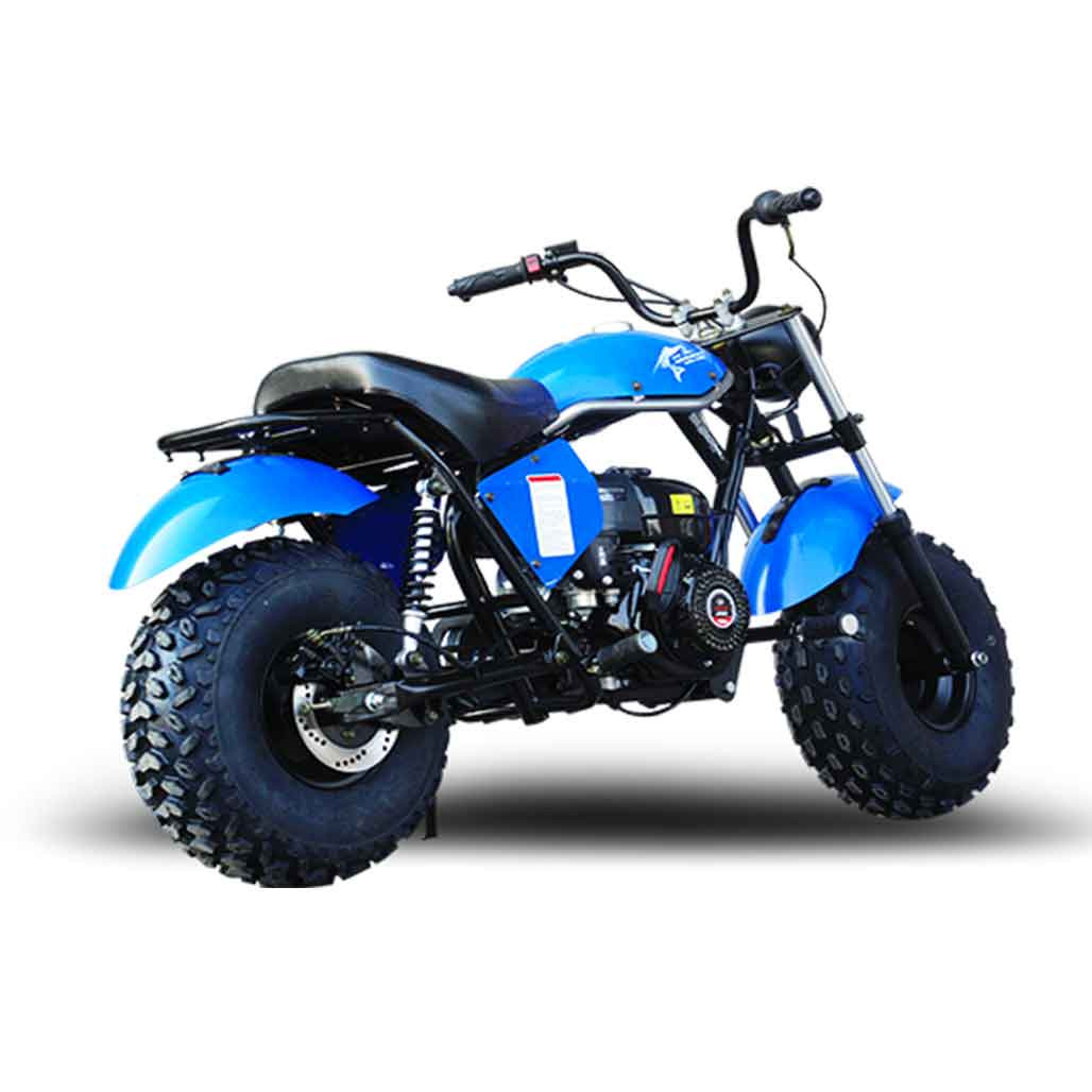 TrailMaster MB200-2 Minibike (MB200)