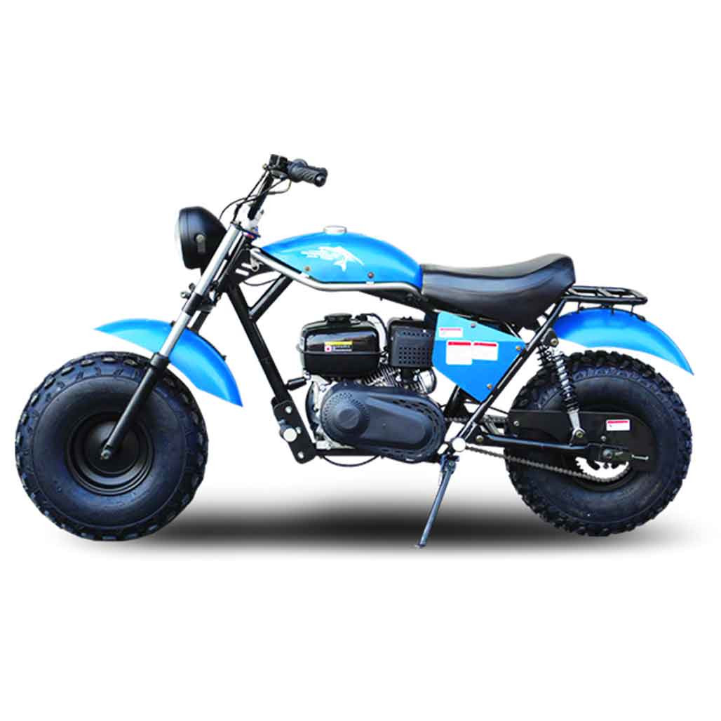 TrailMaster MB200-2 Minibike (MB200)