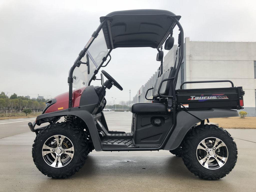 TrailMaster Taurus 200EU UTV