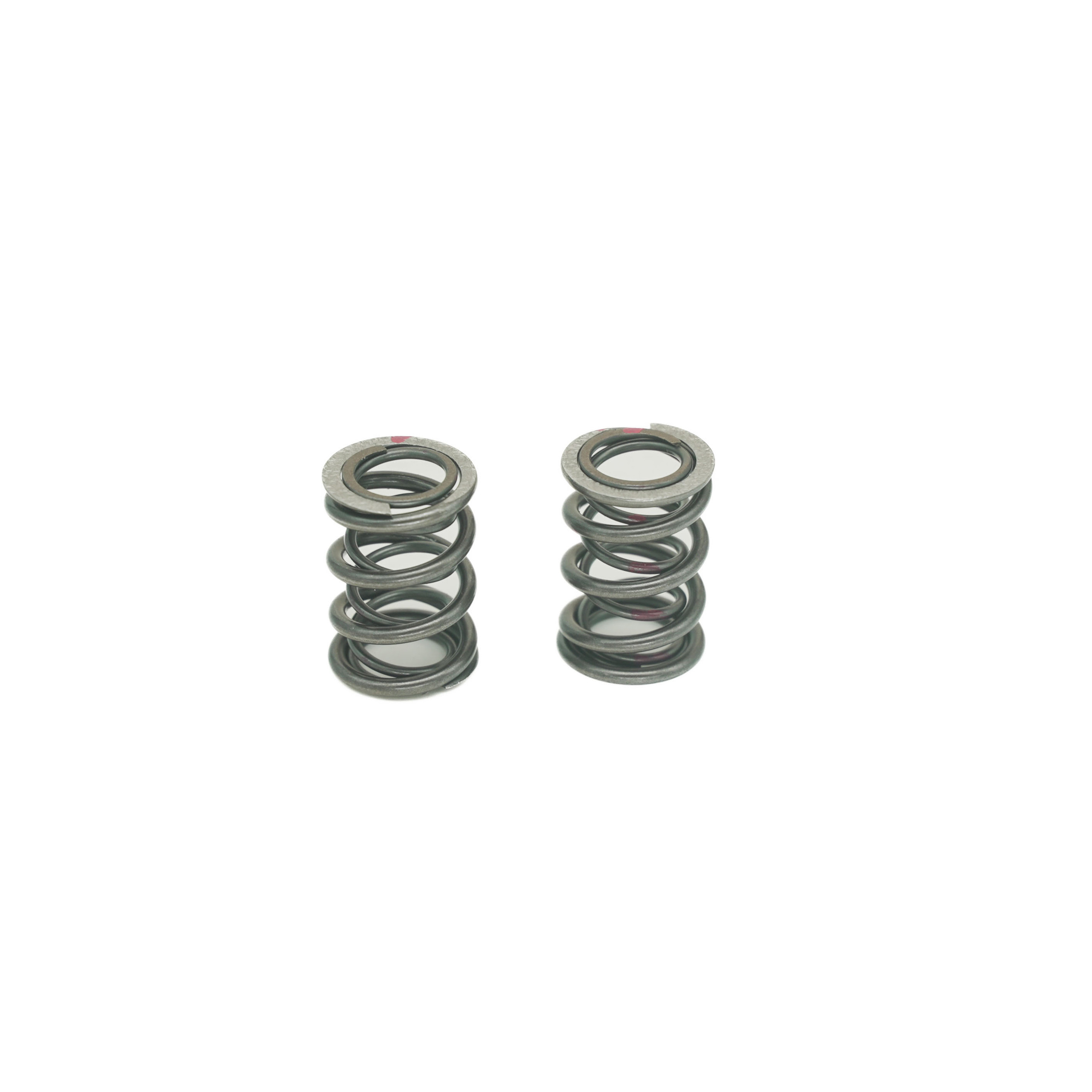 Engine | Valve Springs