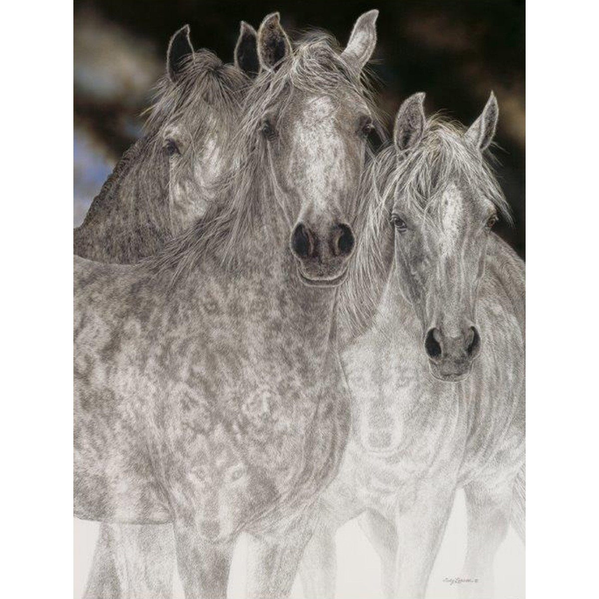 Mountain Arts Gallery - Judy Larson Art