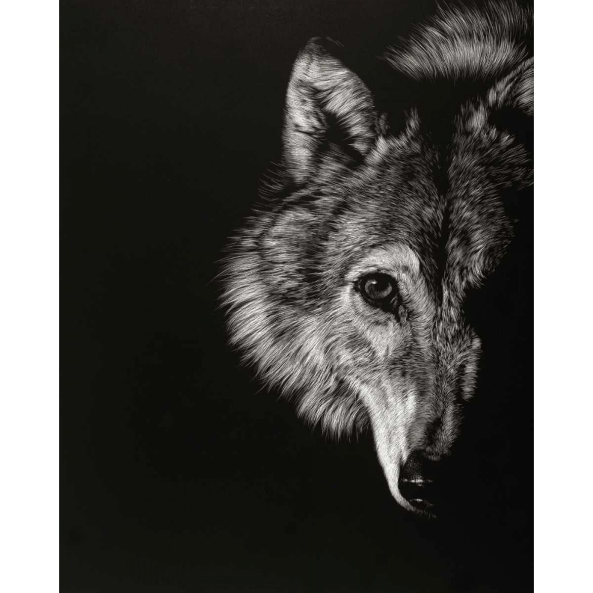 Mountain Arts Gallery - Julie Chapman
