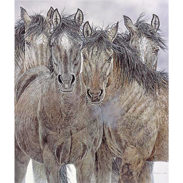 Mountain Arts Gallery - Judy Larson Art