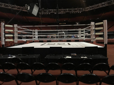 20' X 20' Pro Boxing Ring Made in USA | Pro Rings & Cages