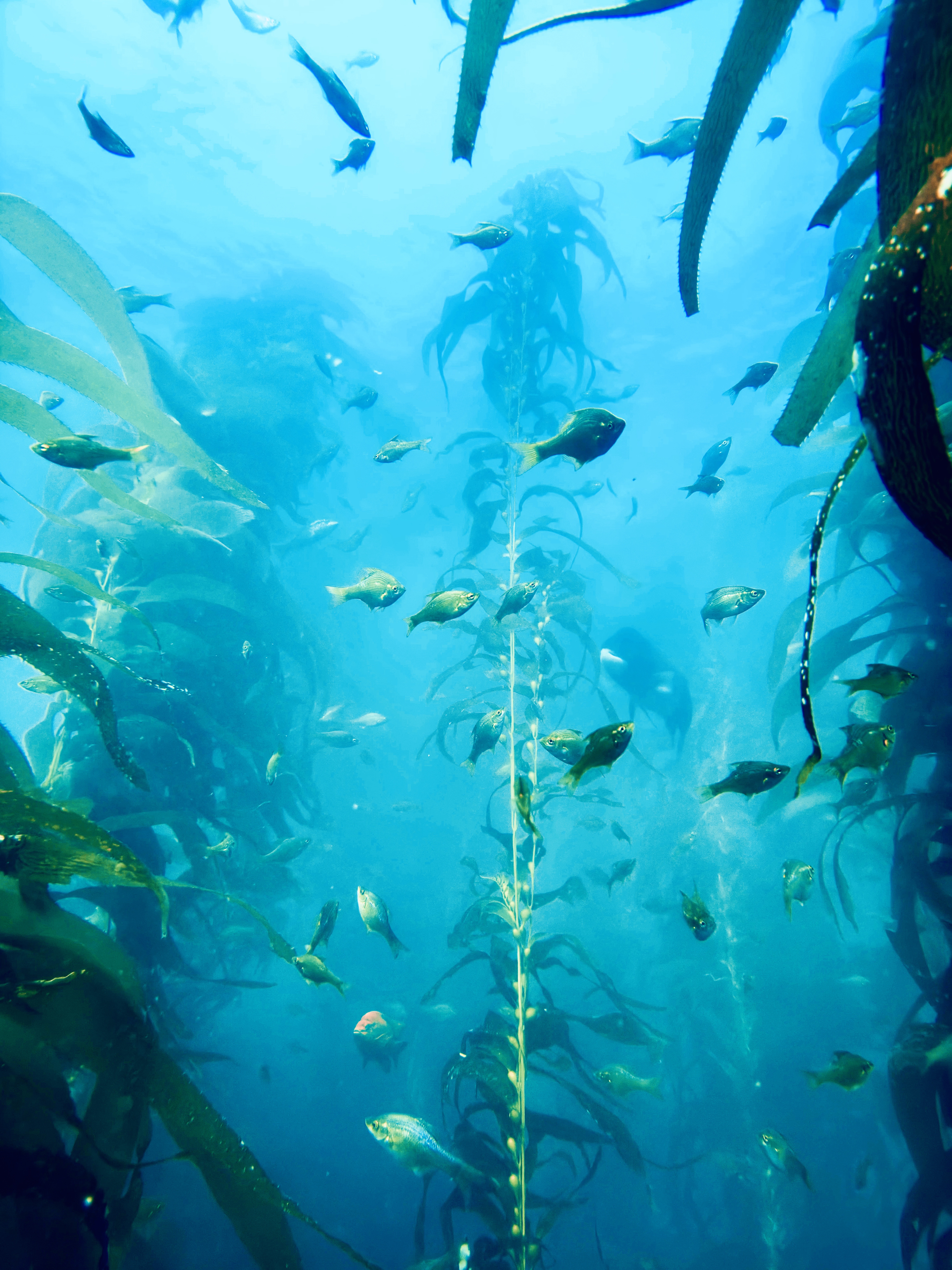 Newly Certified? Your Next Adventure: The Ultimate Beginner’s Guide to ...