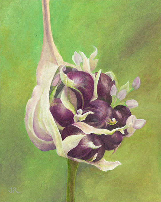 Julia Redman Art and Orchids
