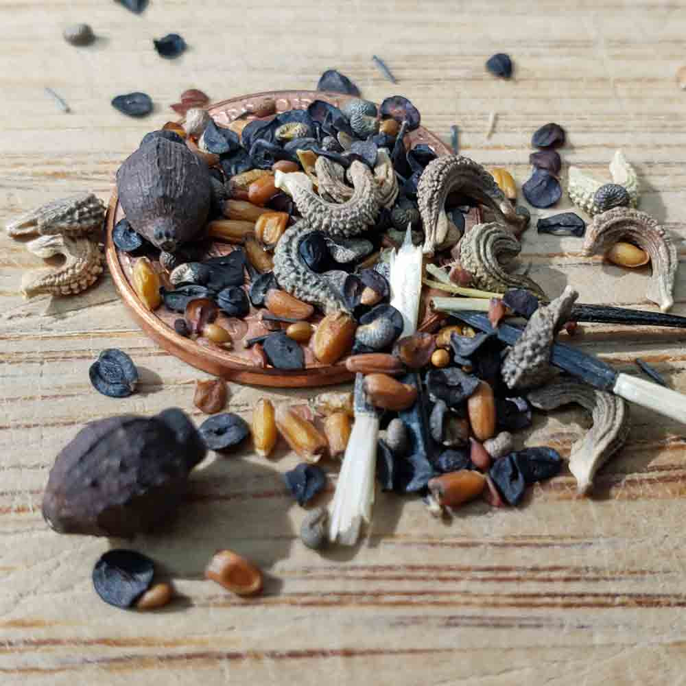 Fragrant Flower Heirloom Seed Mix | Terroir Seeds