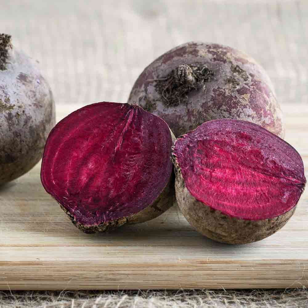 Heirloom Bull's Blood Beet Seeds | Terroir Seeds