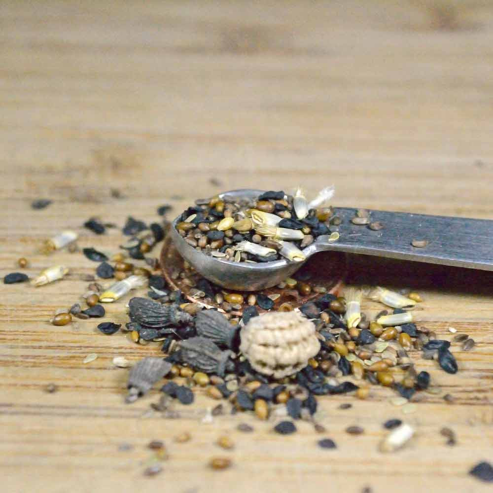 Edible Flower Mix Seeds | Terroir Seeds