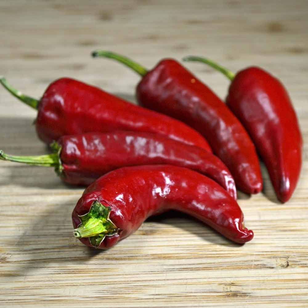 Espelette/Basque Heirloom Pepper Seeds | Terroir Seeds