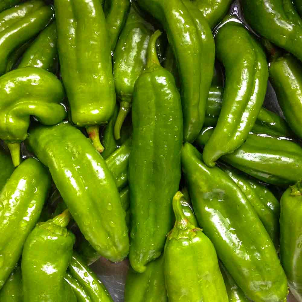 Pepperoncini Heirloom Pepper Seeds | Terroir Seeds