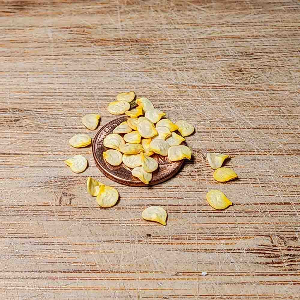 Concho Heirloom Pepper Seeds | Terroir Seeds