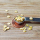 Heirloom Jupiter Sweet Pepper Seeds | Terroir Seeds