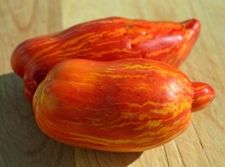 Speckled Roman/Striped Tomato Seeds | Terroir Seeds
