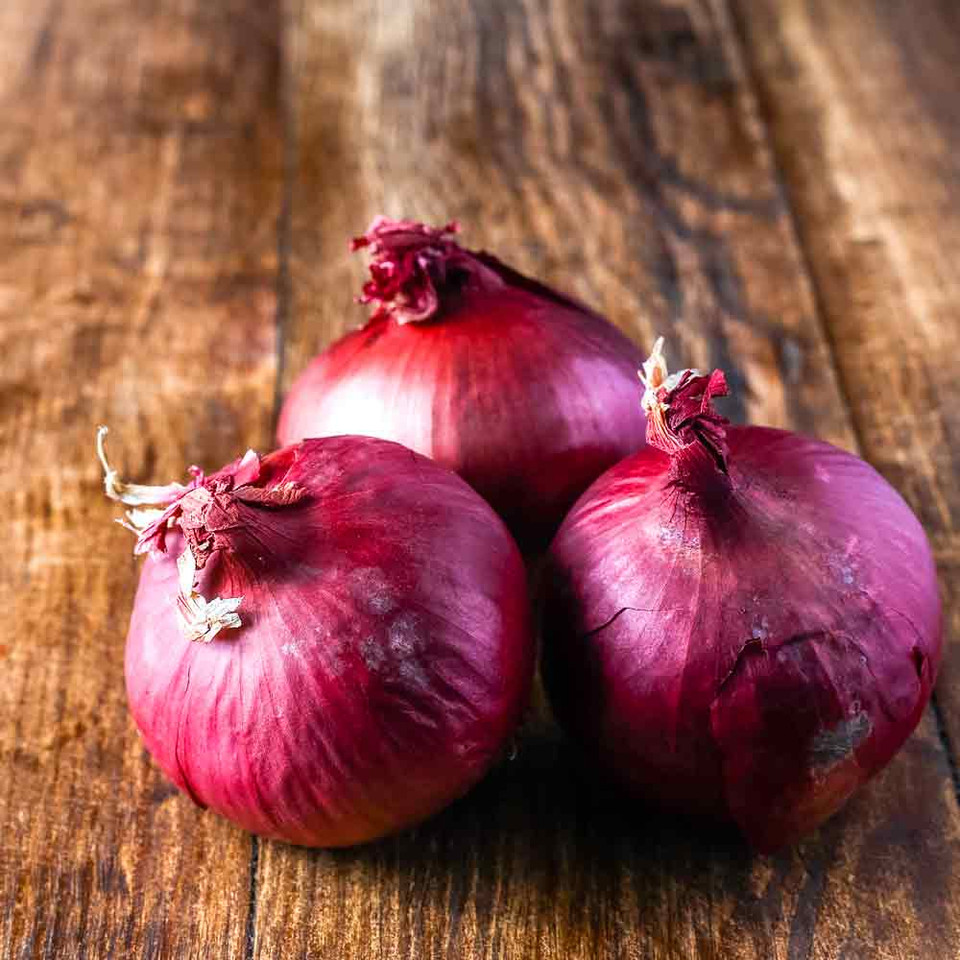 Nodding Onion Seeds | Terroir Seeds