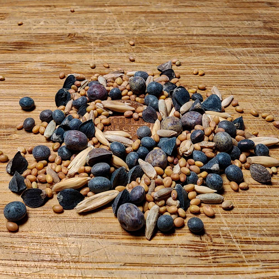 Garden Cover Up Mix Cover Crop Seeds | Terroir Seeds