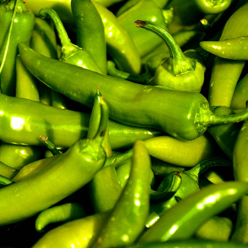 AZ 20 Hot Pepper Seeds |Terroir Seeds