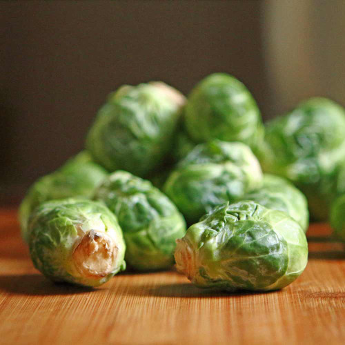 Catskill Heirloom Brussels Sprout Seeds | Terroir Seeds