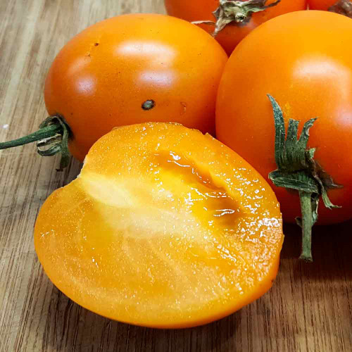 Jubilee Heirloom Tomato Seeds | Terroir Seeds