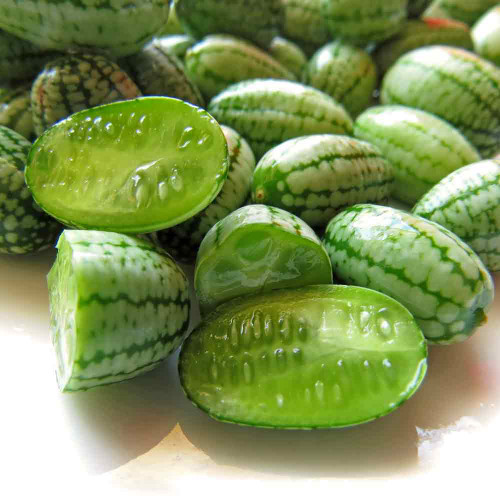 Cucamelon/Mouse Melon Heirloom Seeds | Terroir Seeds