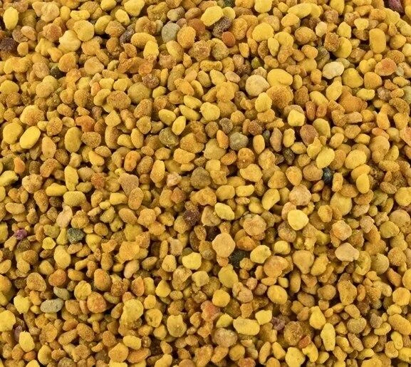 Fresh Bee Pollen For Sale | Lappe's Bee Supply Honey Farm