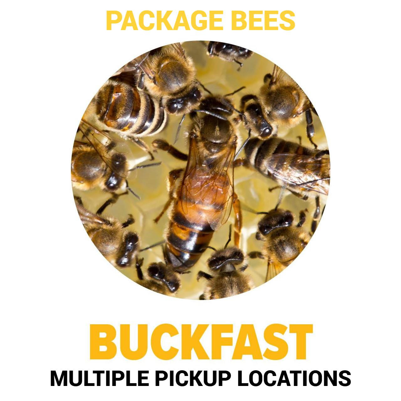 Buckfast Package Honey Bees For Sale USA | Lappe's Bee Supply