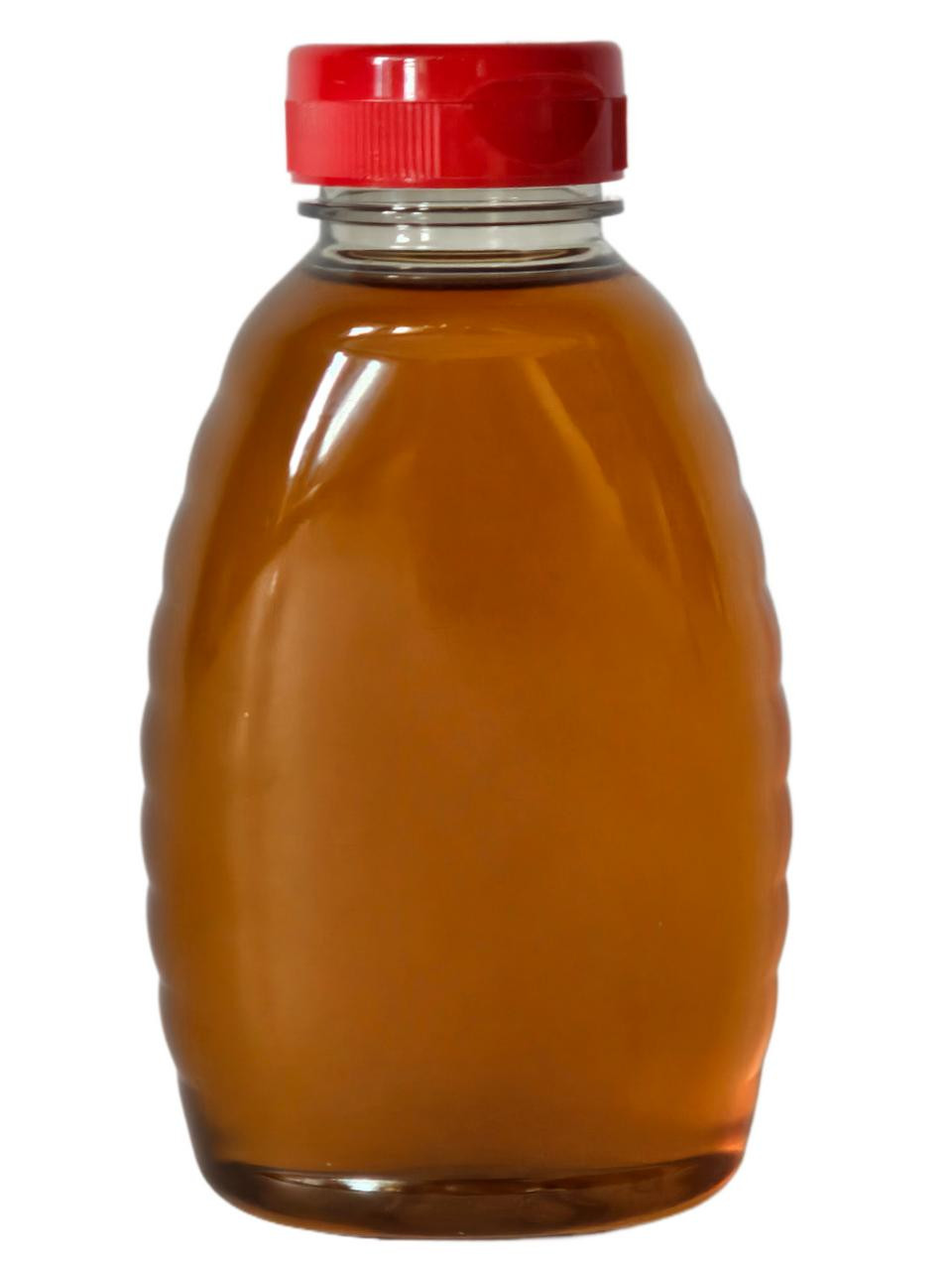 1 lb Classic Queenline Plastic Honey Bottles | Lappe's Bee Supply