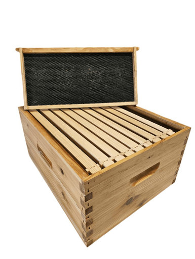 Wax Dipped 10 Frame Deep Hive Body & Frames | Lappe's Bee Supply
