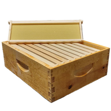 Waxed 10 Frame Honey Super & Frames | Lappe's Bee Supply
