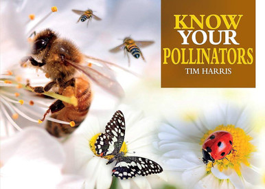Know Your Pollinators | Lappe's Bee Supply