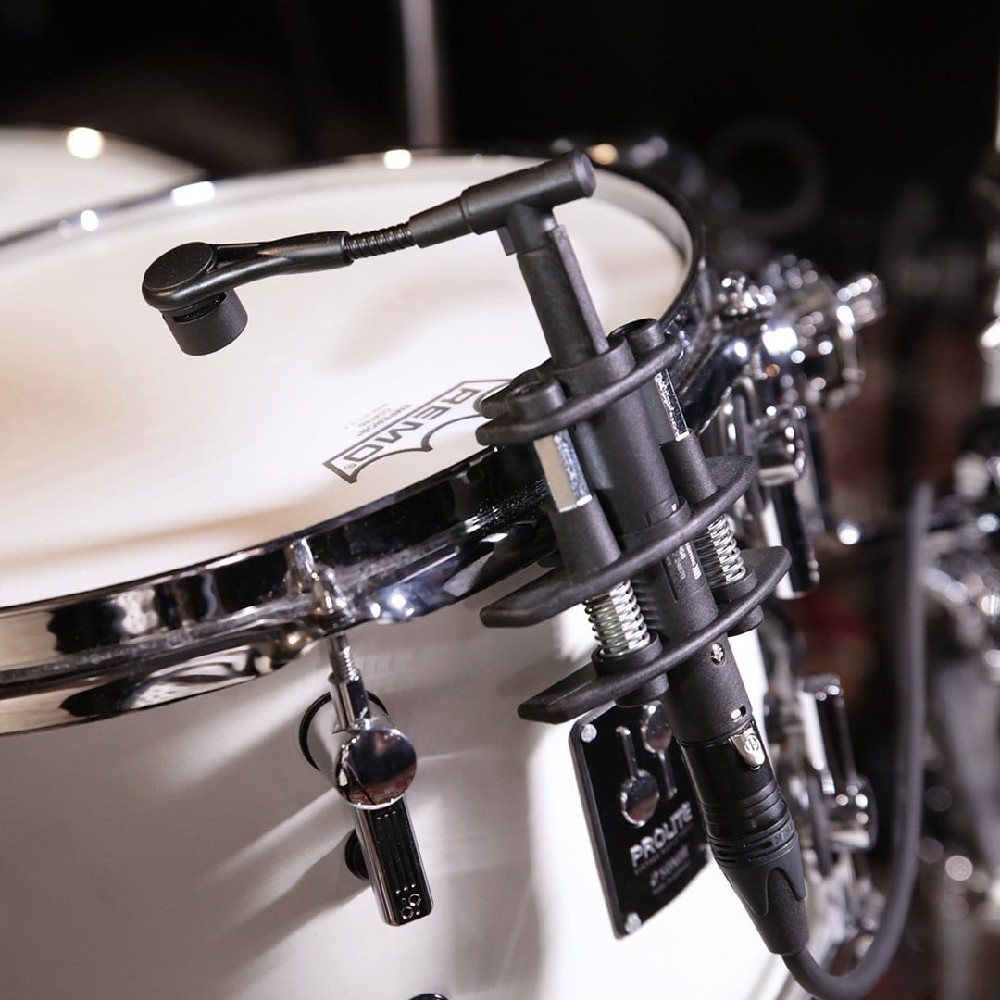 Beyerdynamic Singapore | Beyerdynamic Microphones | Beyerdynamic TG D58 ...