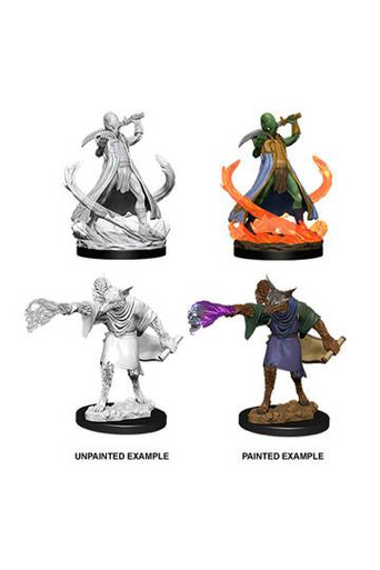 D&D Nolzur's Marvelous Miniatures Unpainted Miniatures Arcanaloth ...