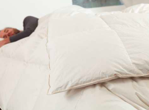 german goose down comforter 260x220cm