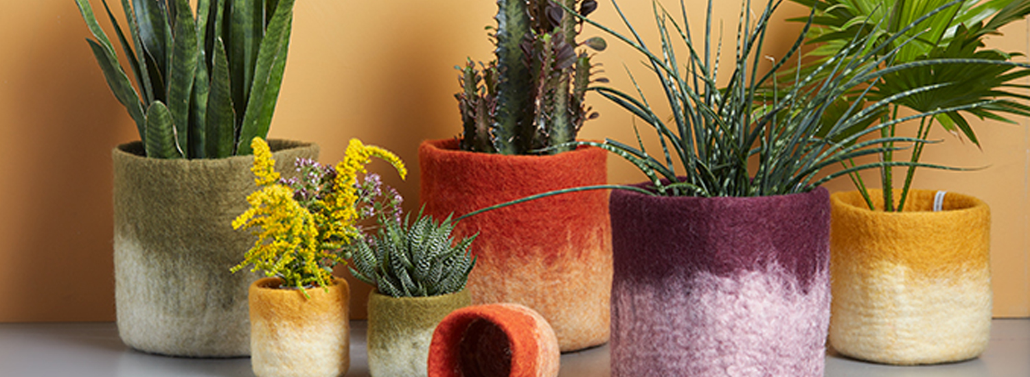European Lifestyle Products for the Modern Home - European Bliss