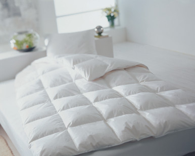 german goose down comforter 260x220cm