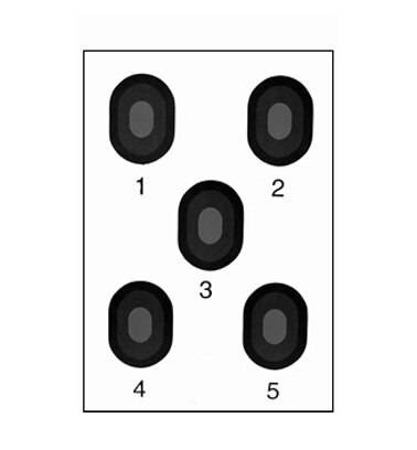 Law Enforcement Targets #530 5 Bullseye Target Minimum Quantity of 25