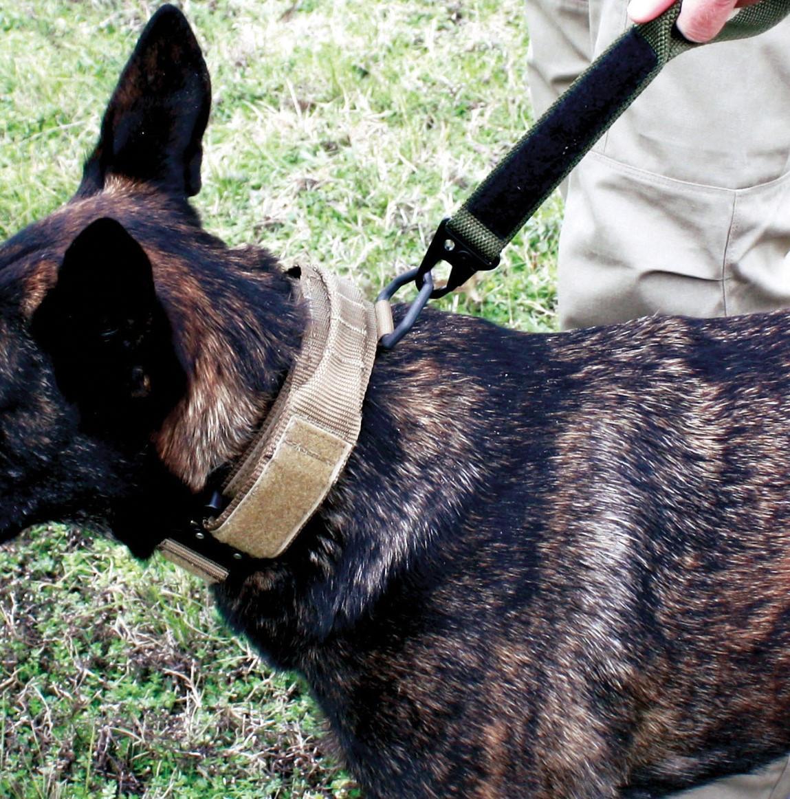 United States Tactical K9 Receiver Collar - One Size Fits All