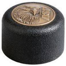 ASP Eagle Instructor Brass Logo Baton Cap