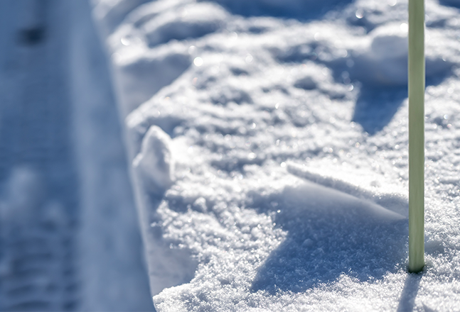 Ditch Fiberglass: Why Our Polymer Driveway Markers Are Superior