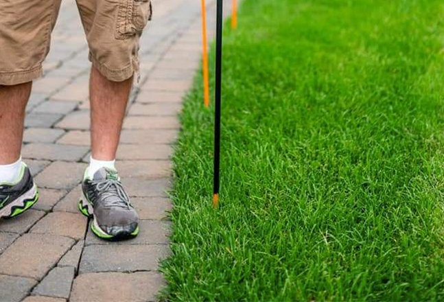 Yard Stakes: Creative Ways To Use Them For Summer Fun