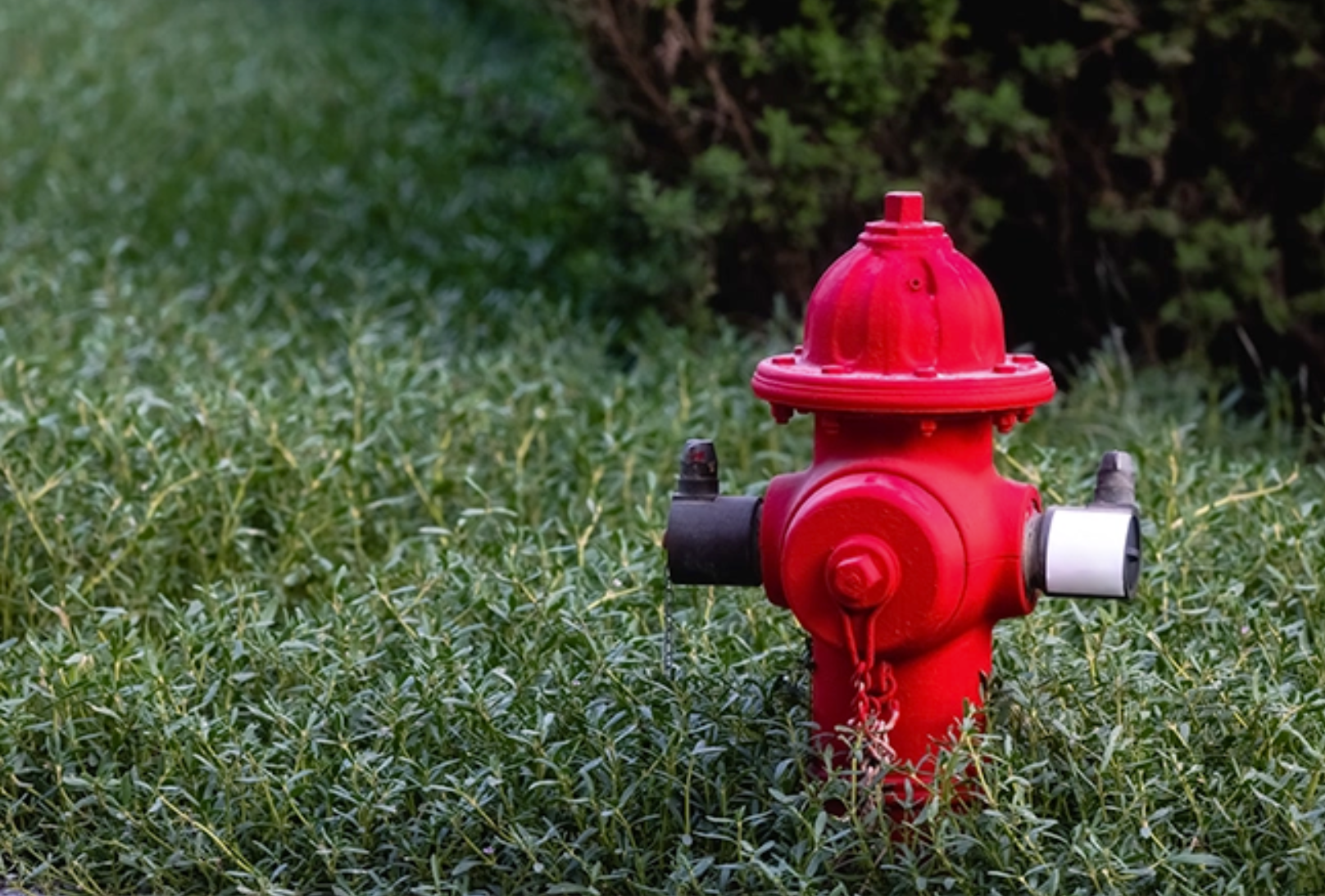 Why Now's the Perfect Time to Invest in Hydrant Markers