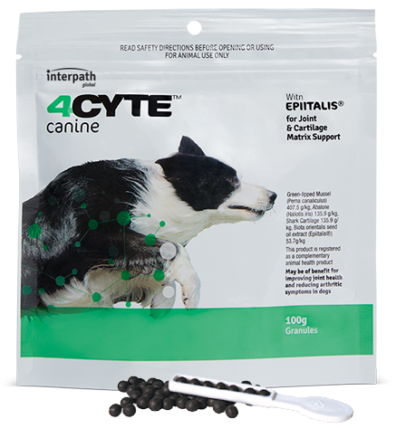 4CYTE Epiitalis Joint care for Dogs 100g
